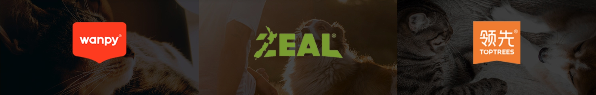 Zoho X 中宠股份 | 数字化助力中国宠物行业先行者，实现全球化战略持续增速